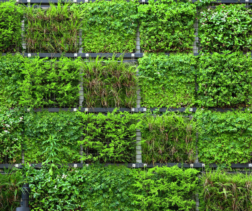 This is why your office needs greenery - HRM online