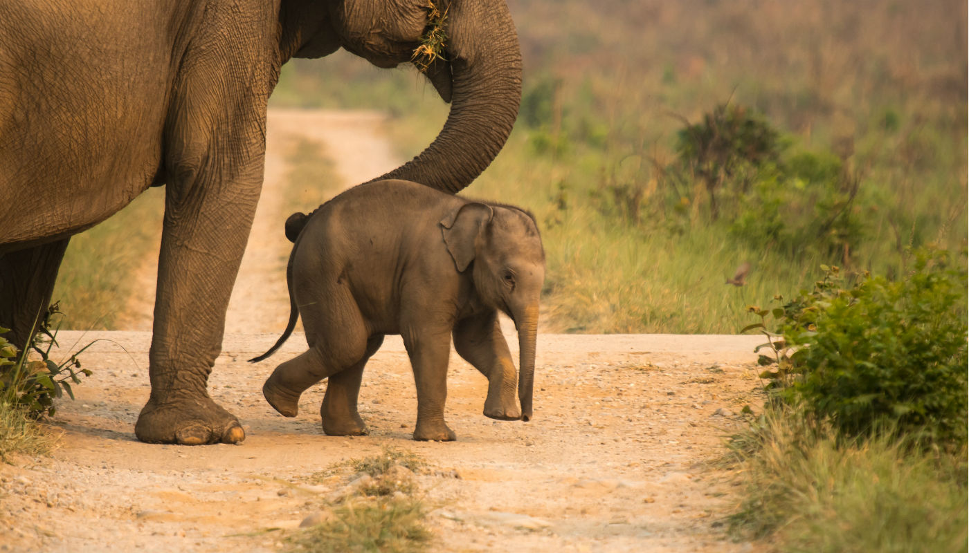 Is Nudge Theory ethical? And are you already doing it without noticing ...