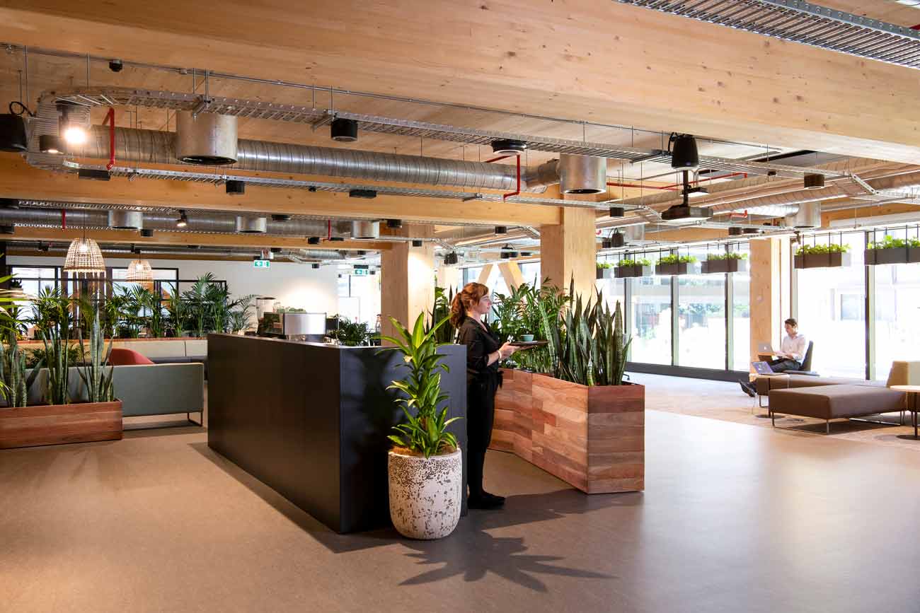 Six innovative office designs from around the world - HRM online